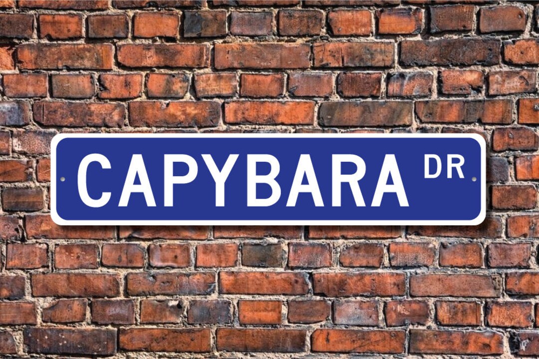 Capybara, Capybara Gift, Capybara Sign, Capybara Decor, Capybara Expert ...