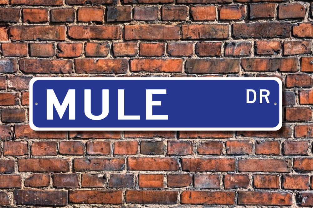 Mule Mule Gift Mule Sign Mule Decor Mule Lover Offspring | Etsy