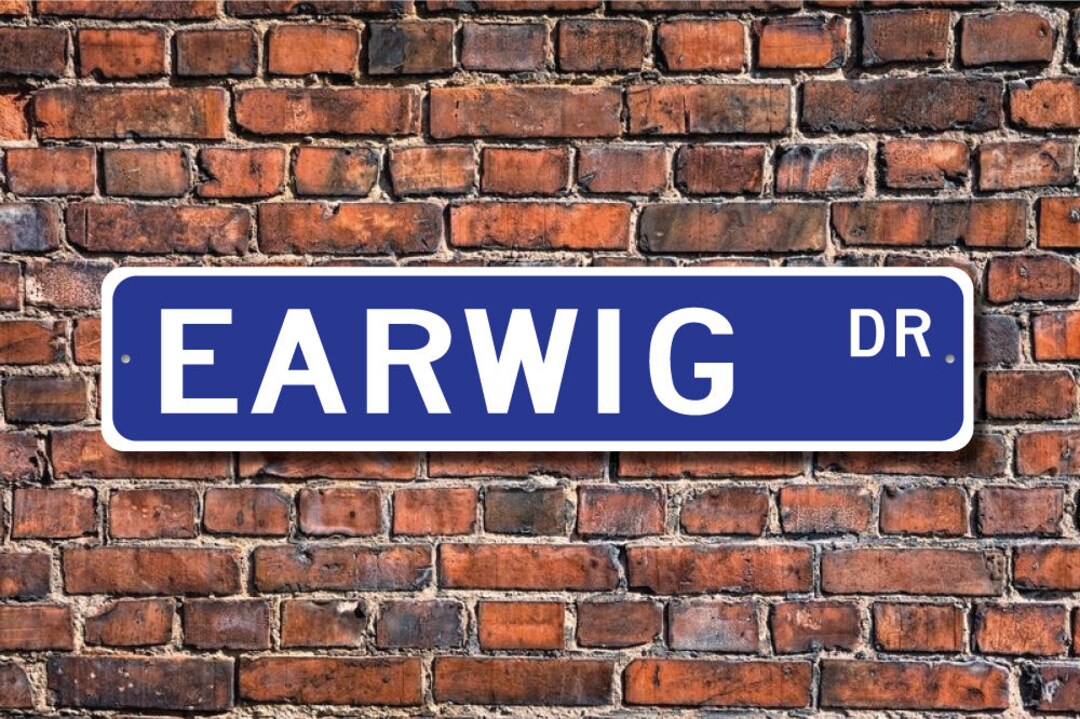 Earwig, Earwig Gift, Earwig Sign, Earwig Decor, Earwig Expert, Insect ...