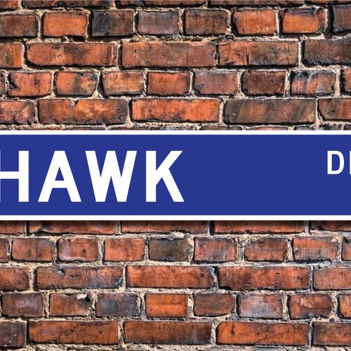 Hawk Hawk Gift Hawk Sign Hawk Decor Hawk Lover Birds of - Etsy
