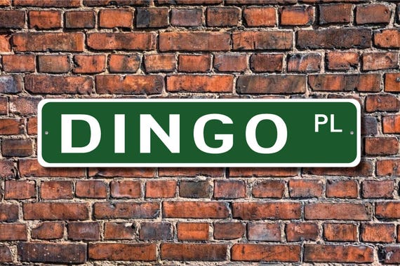 Dingo Dingo Lover Dingo Sign Custom Street Sign Quality - Etsy