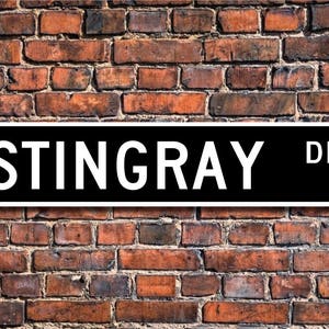 Stingray, Chevrolet Stingray Sign, Chevrolet Stingray Gift, Chevrolet ...