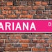 Ariana Ariana Sign Ariana Lover Autumn Gift Child Gift - Etsy