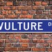 Vulture, Vulture Gift, Vulture Sign, Vulture Decor, Vulture Lover ...
