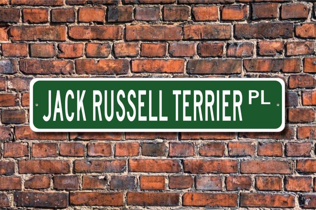 Jack Russell Terrier, Jack Russell Terrier Lover, Jack Russell Terrier ...