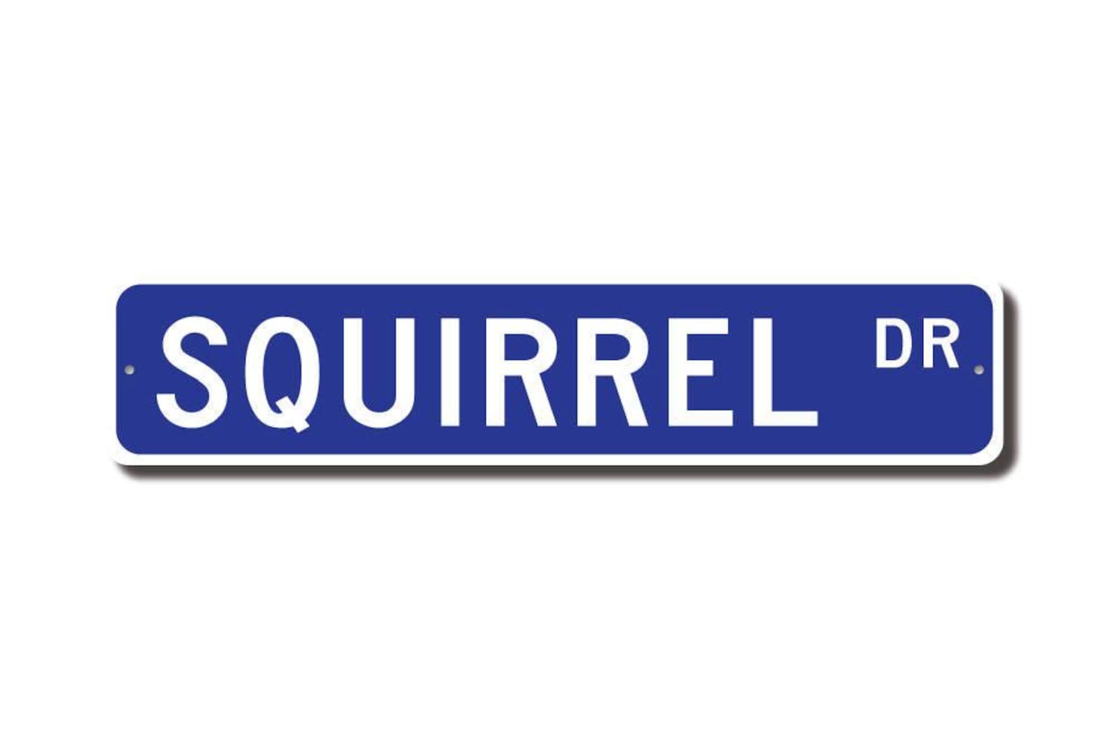 Squirrel, Squirrel Gift, Squirrel Sign, Squirrel Decor, Squirrel Lover ...