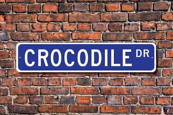 Crocodile Crocodile Gift Crocodile Sign Crocodile Decor | Etsy