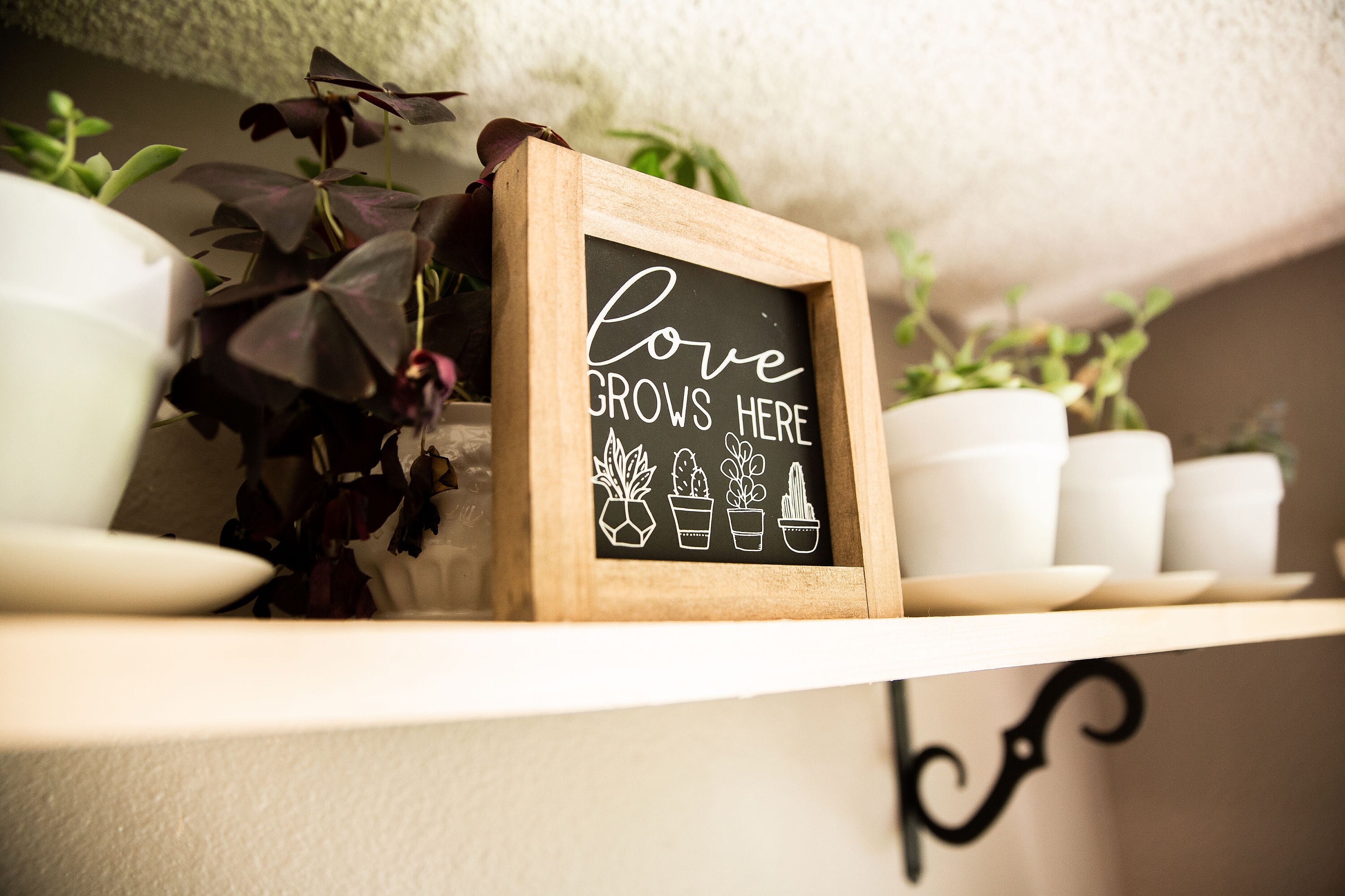 Love Grows Here Sign Mini Plant Lover Sign Cactus | Etsy