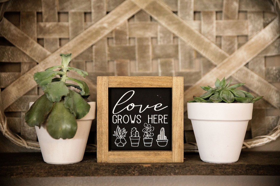 Love Grows Here Sign Mini Plant Lover Sign Cactus - Etsy