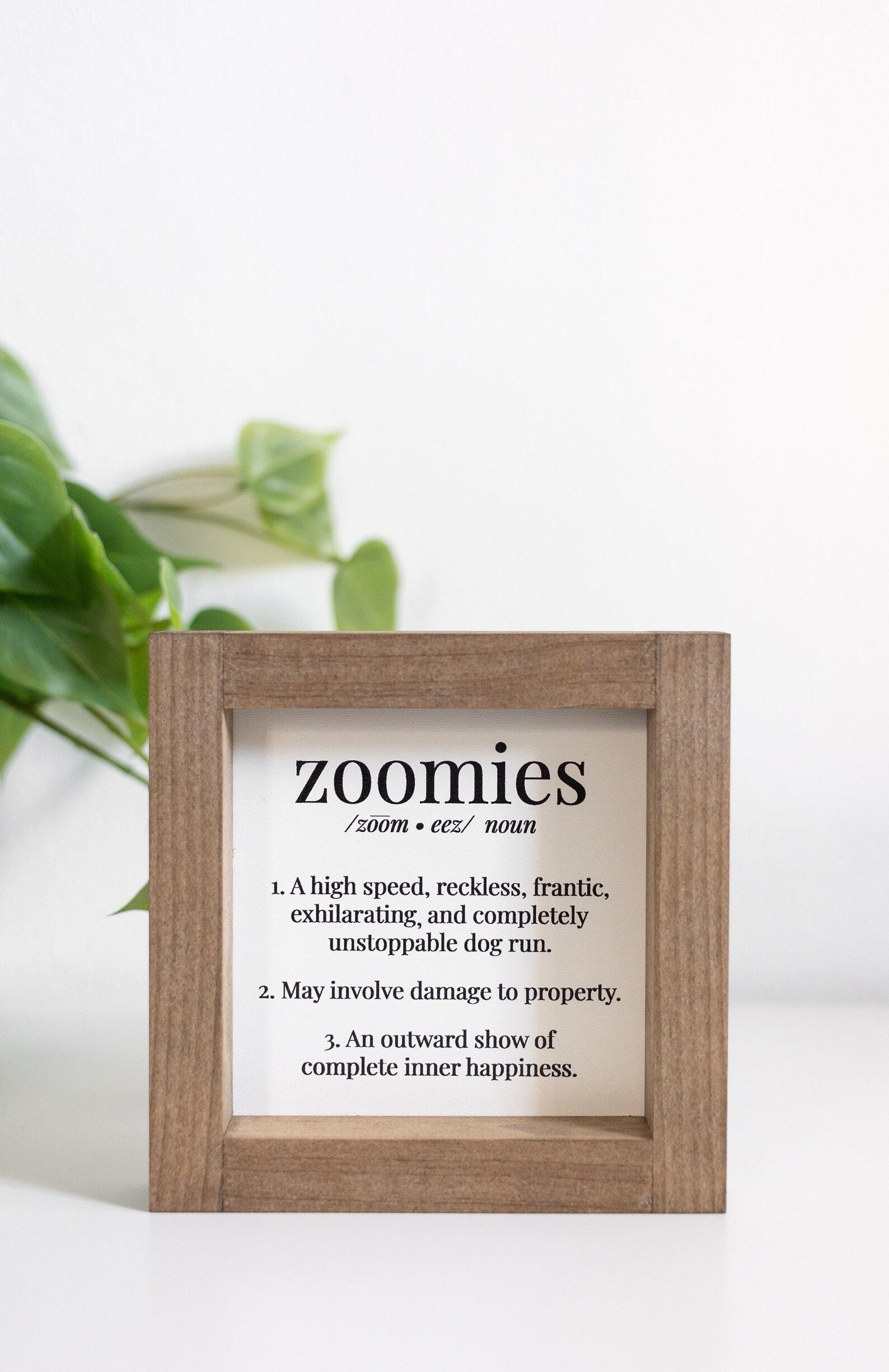 Zoomies Dog Sign | Wood Framed Zoomies Definition Dog Sign | Small or ...