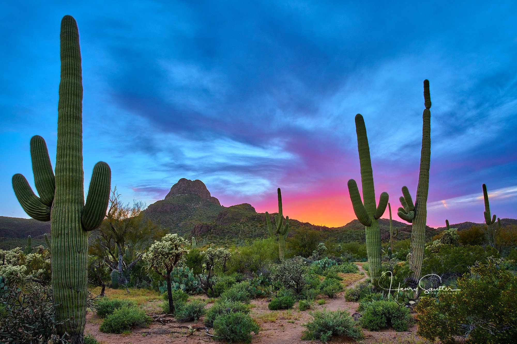 Tucson Postcards, Fine Art Note Cards and Prints - Etsy