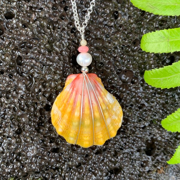 Sunrise Shell Necklace - Etsy