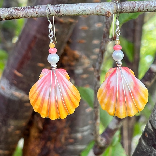 Sunrise Shell - Etsy