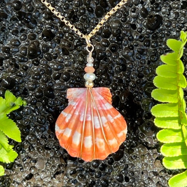 Sunrise Shell - Etsy