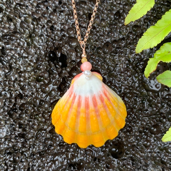 Sunrise Shell Necklace - Etsy