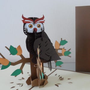 Owl -wise - Brown -tawny - 3D - Pop up Card -birthday - Graduation ...