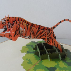 Tiger-3d - Pop up Card -birthday- (sku066) - Etsy UK