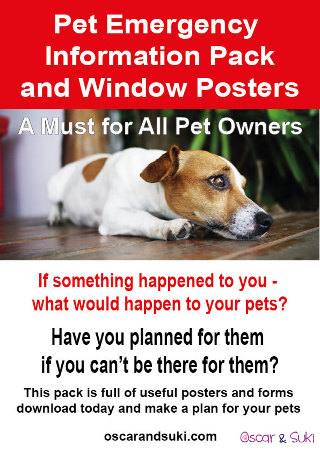 Pet Emergency Information Kit and Window Posters digital - Etsy