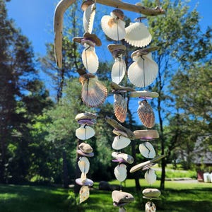 Driftwood Seashells Hanging Wind Chime With Glass Beads for Home Décor ...