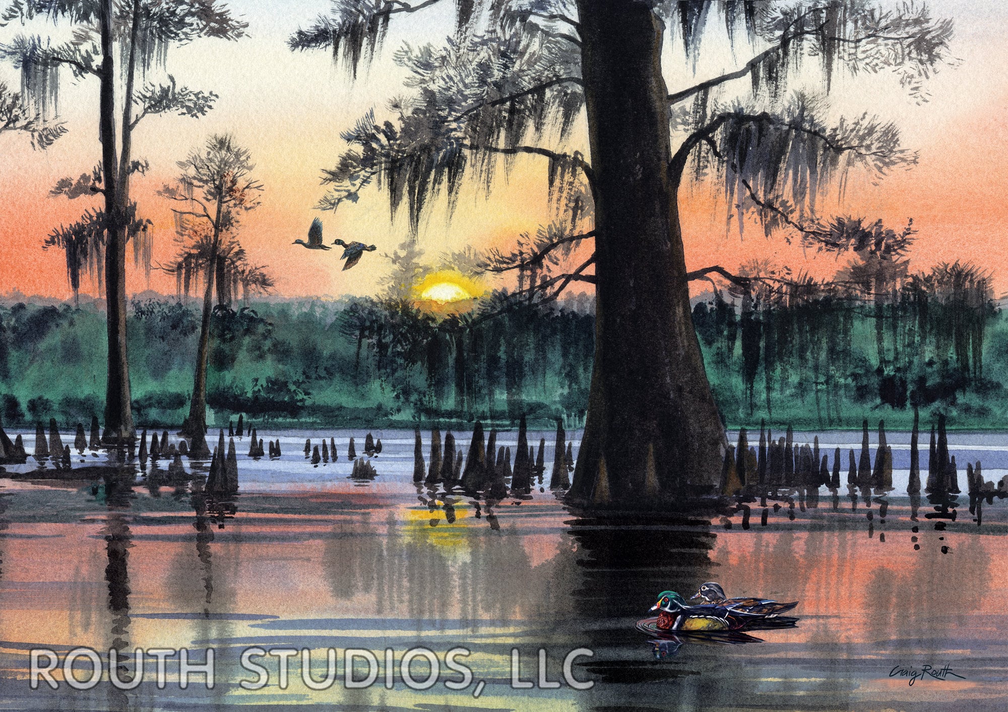 Louisiana Art Print, swamp scene, Sunset Wood Ducks at Cypress Flats ...