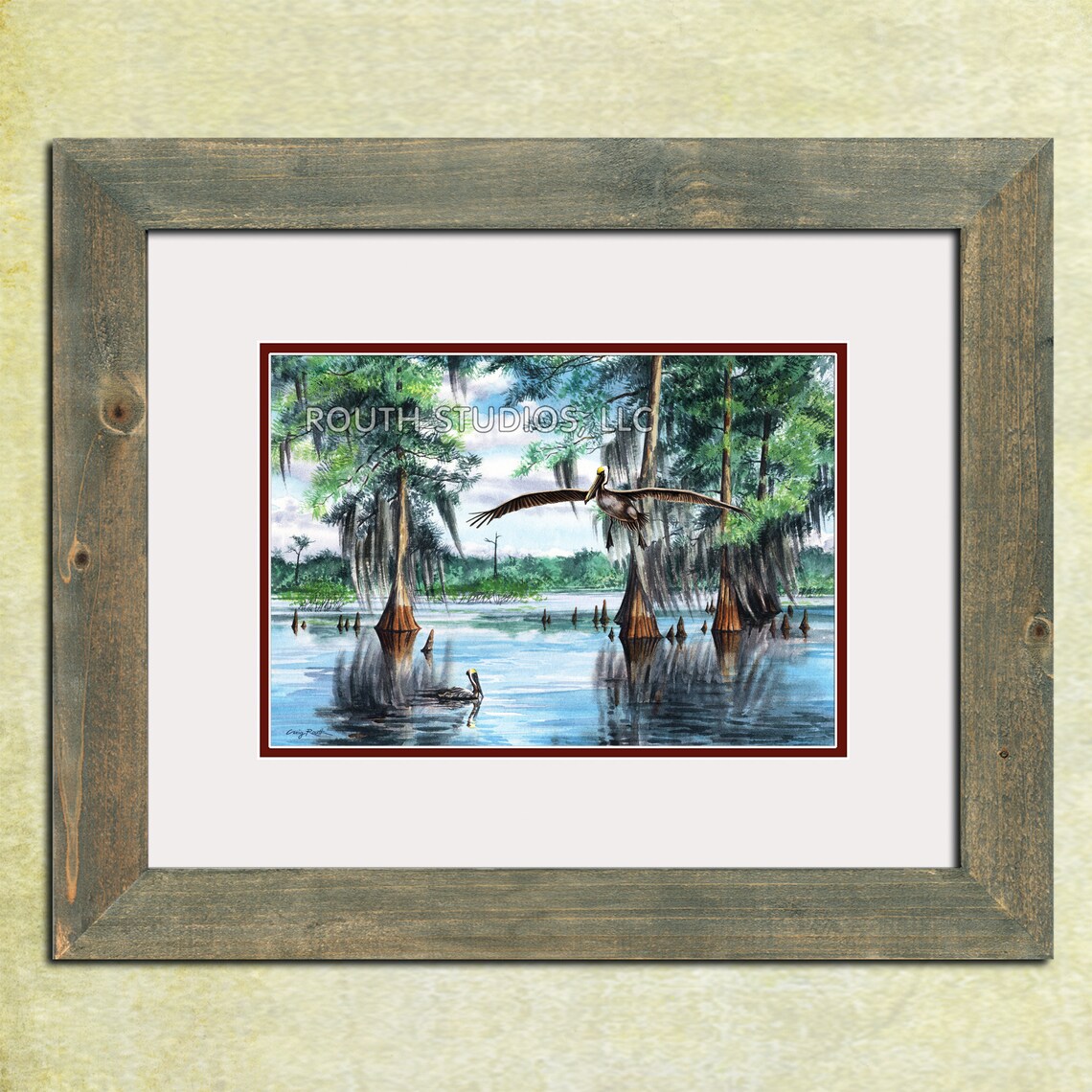 Louisiana Art Print Swamp Scene Brown Pelicans At Cypress Etsy