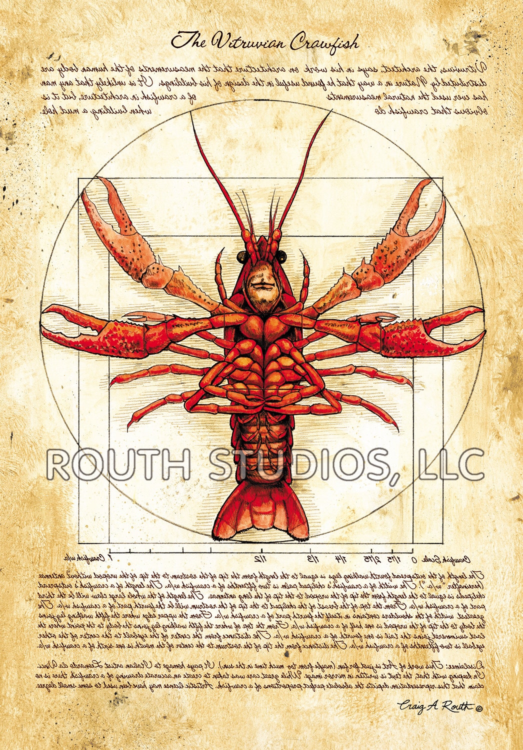 Louisiana Art Print, the Vitruvian Crawfish, Cajun Culture. Cypress ...