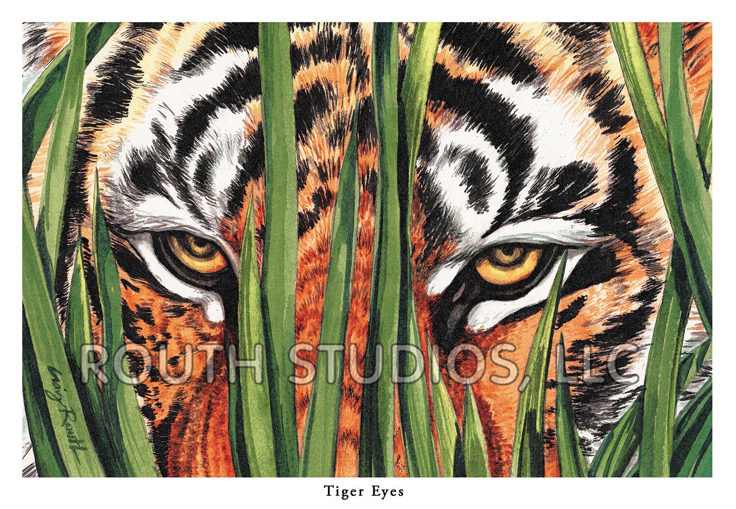 Lsu Football Tiger Eye