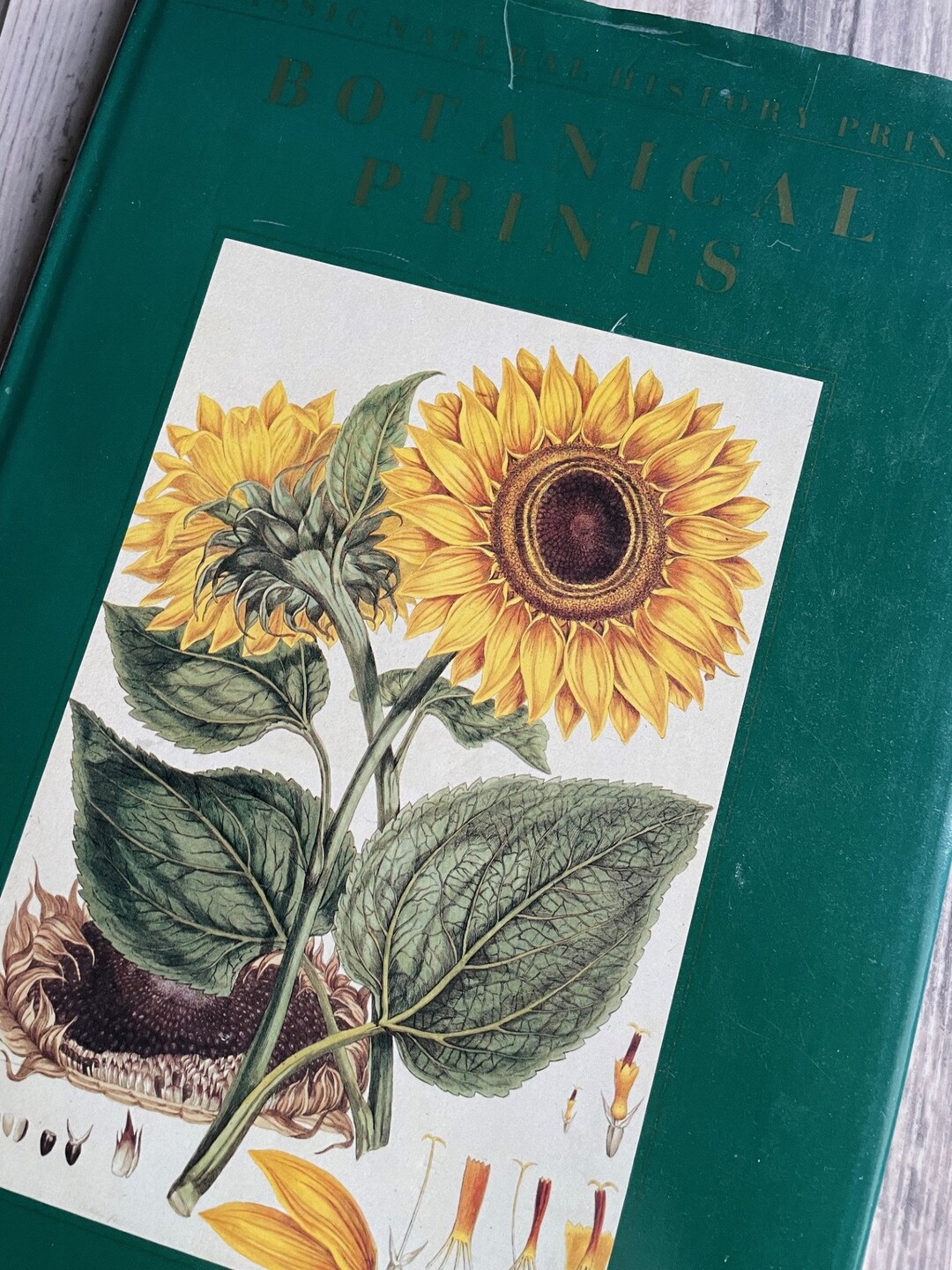 Botanical Prints . Book by Eve Robson/norman Robson . Classic Natural ...