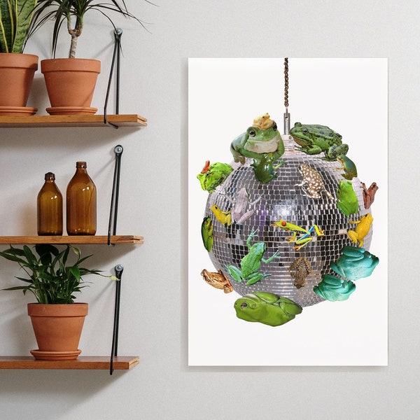 Frog Species Poster - Etsy