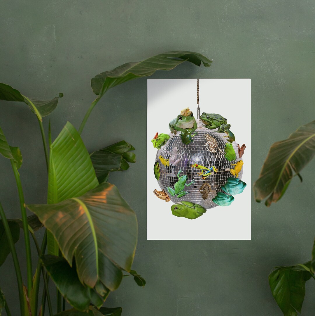 Disco Frogs Print 11x17 Tree Frog and Bullfrog Species on Disco Ball ...