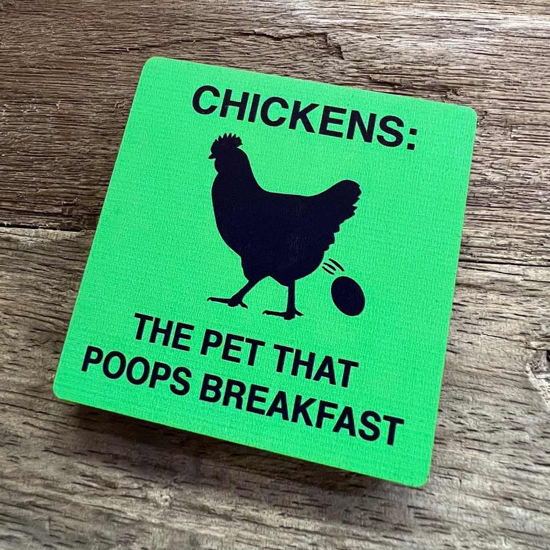 Chicken Poop Fridge Magnet, Farmhouse Decor, Rooster Art, Barnyard ...