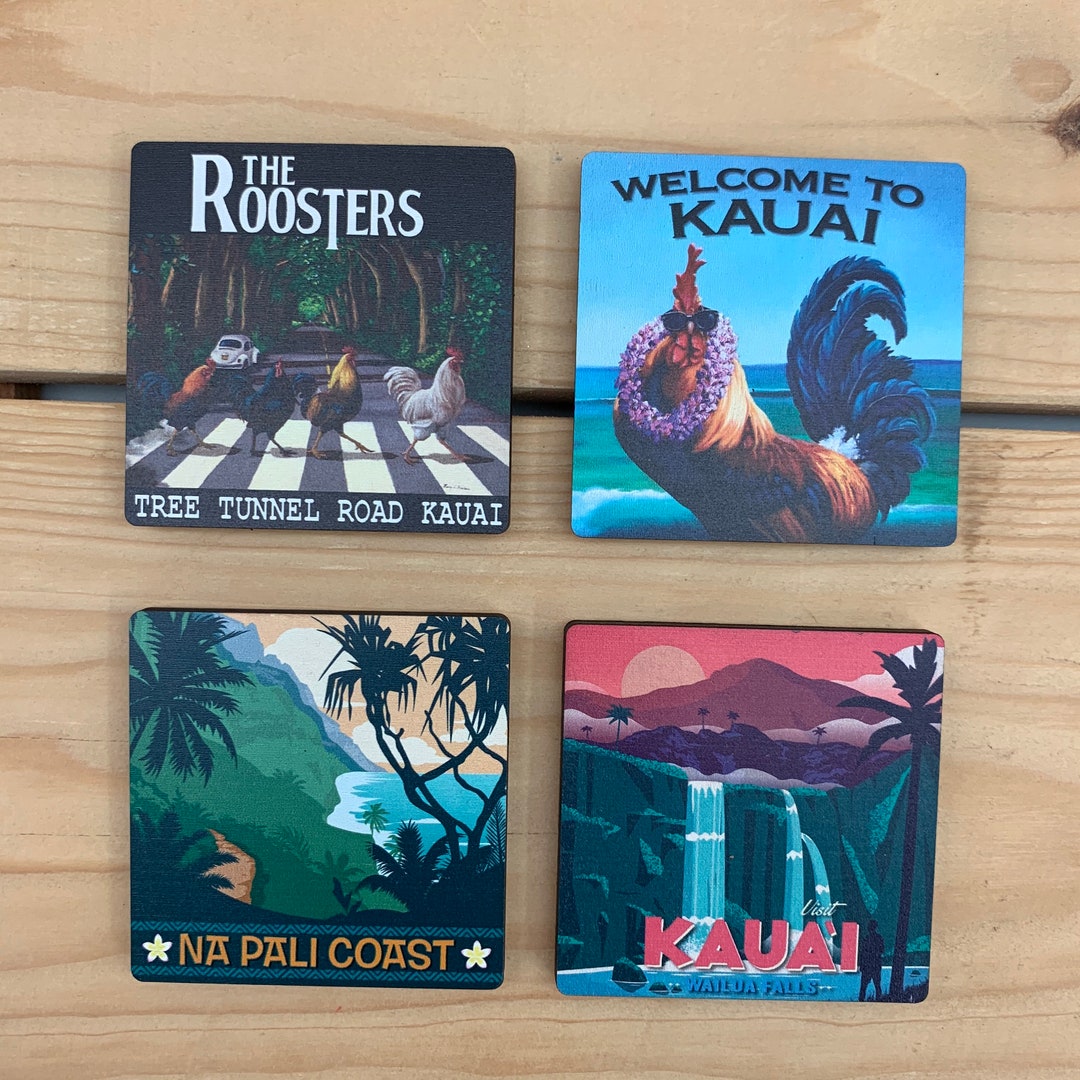 Kauai Fridge Magnet Assortment, Set of Four Hawaii Magnets, Beach Decor ...