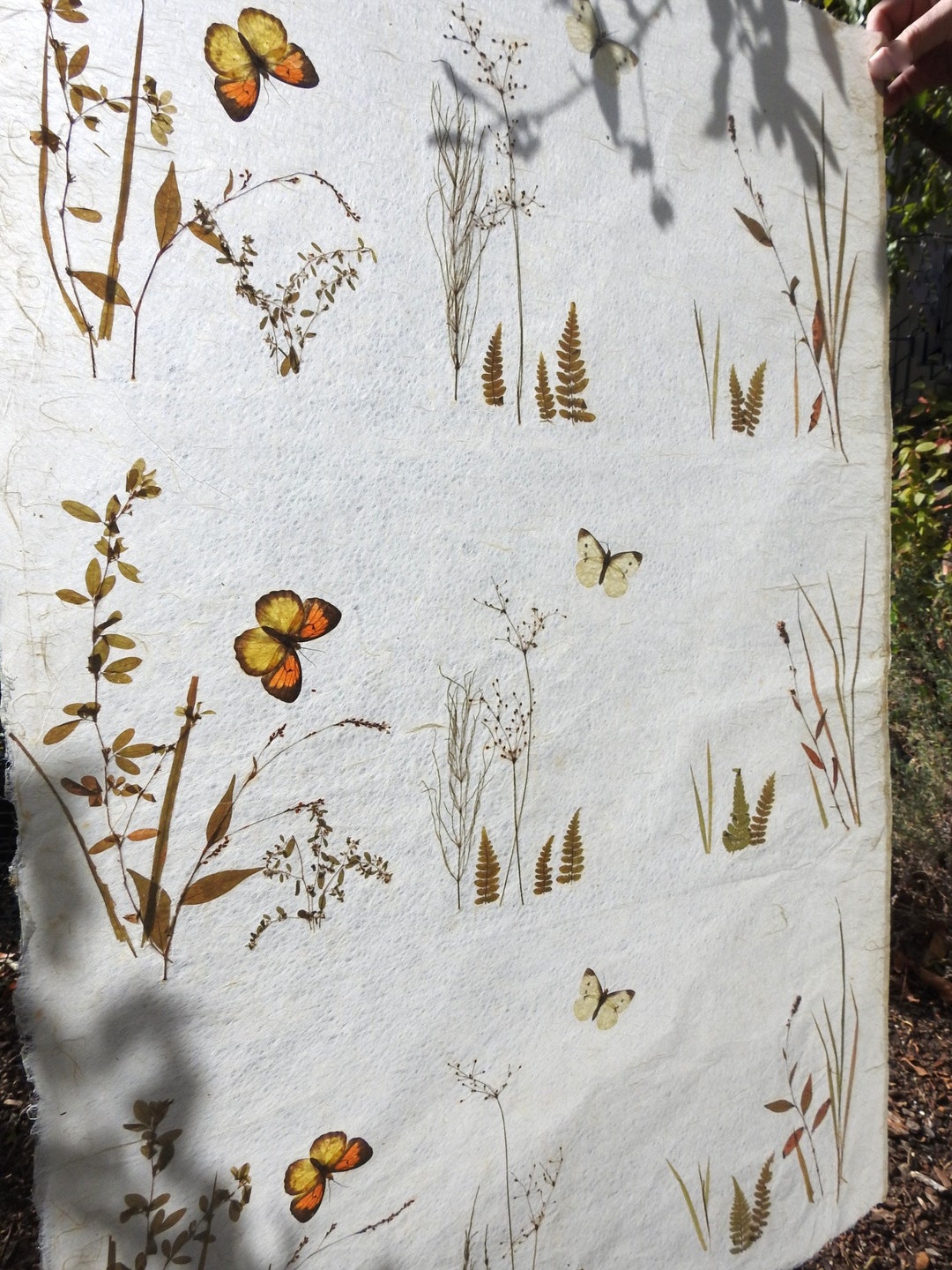Vintage Hand Made Washi Paper Panel With Real Plants and Butterflies ...