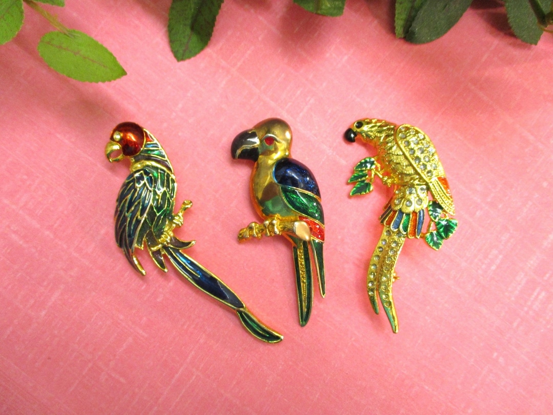 VINTAGE Multicolored Parrot Brooch Lot ~ Jungle Parrot BOOK PIECE ...