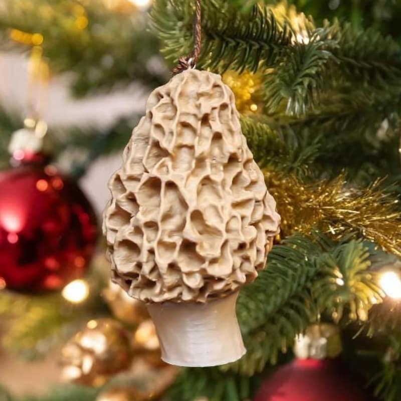 Outdoor Morel Mushrooms - Etsy UK