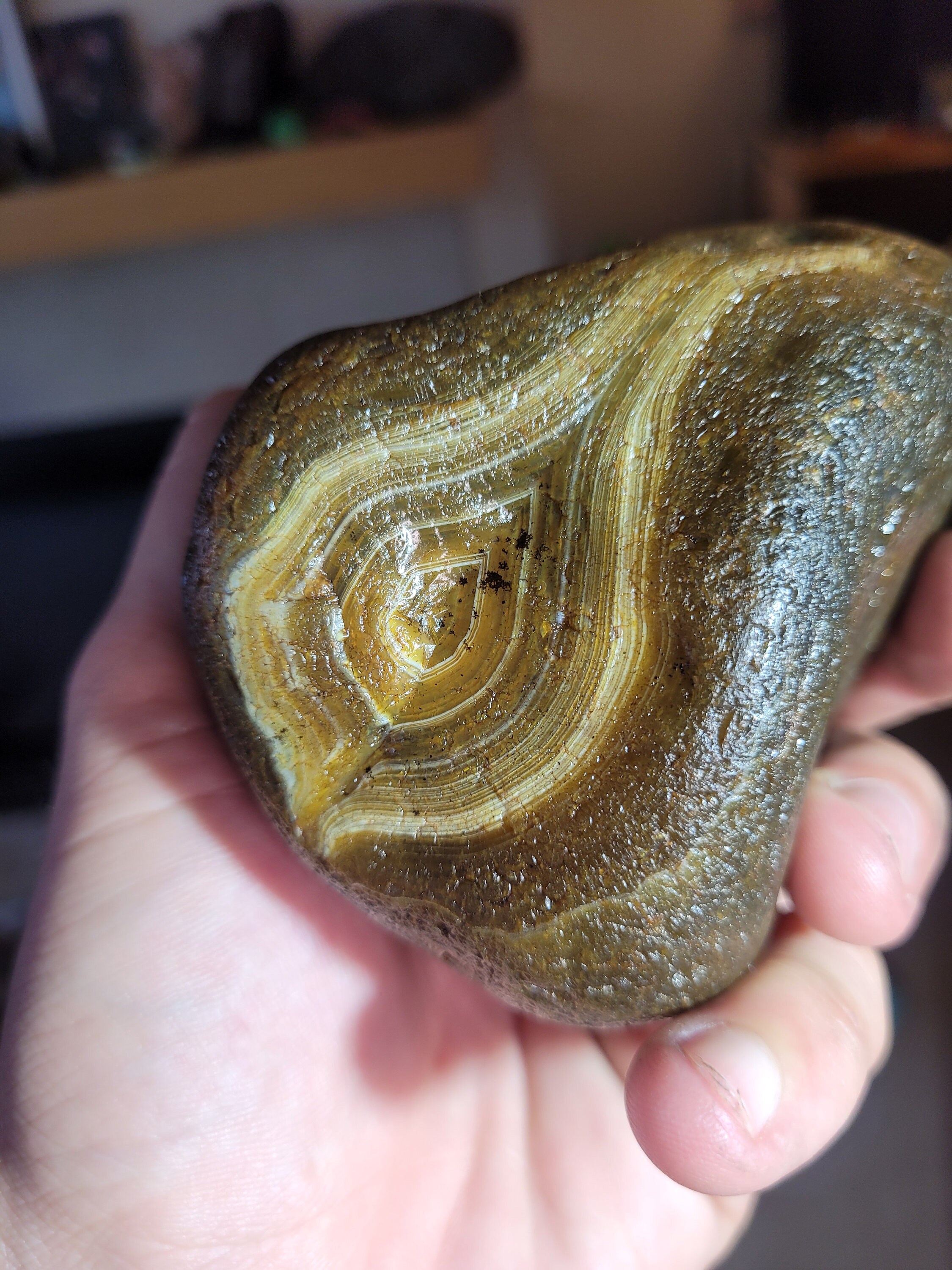 Black Snake River Agates - Extremely Rare - Hard to Find - One of a ...