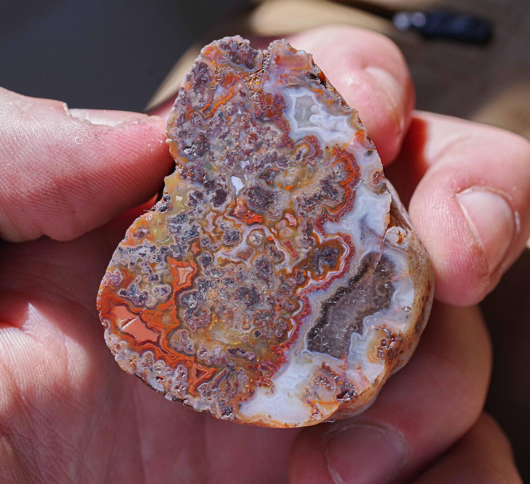 Face Polished Lake Superior Agate - High Grade - Unique Full Spectrum ...