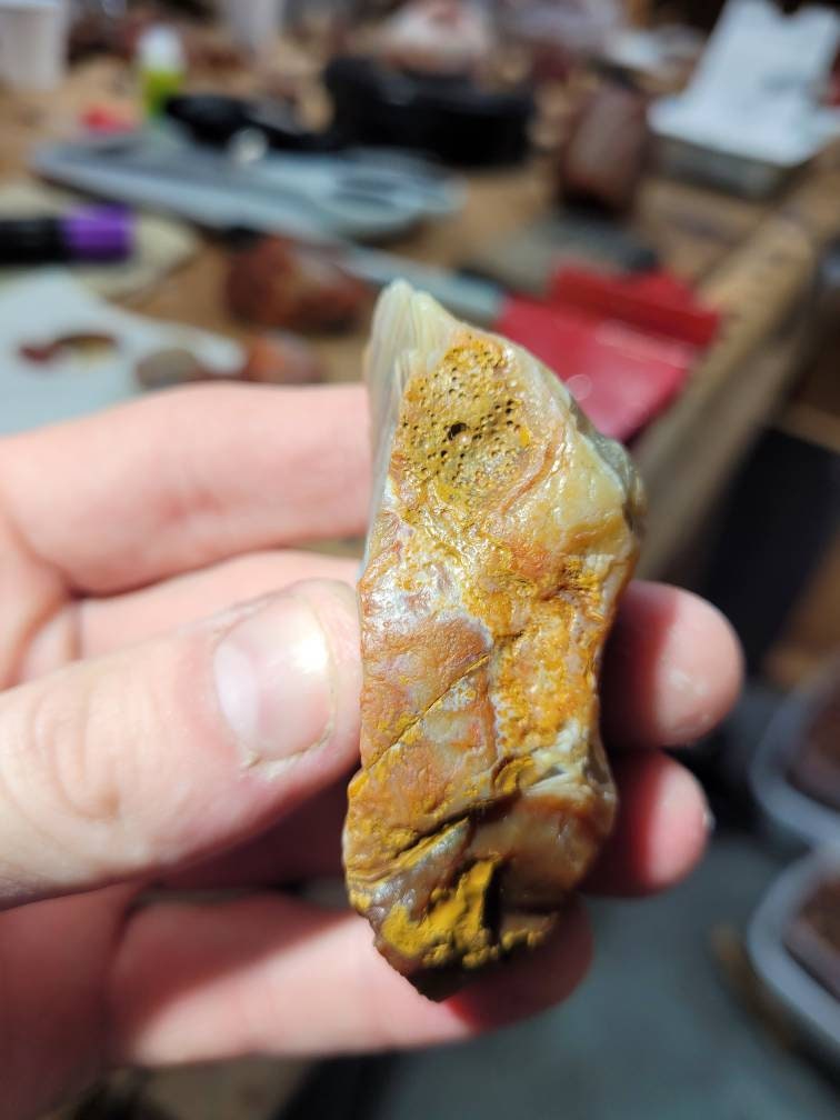 Large Lake Superior Agate - Unique Multi-faced Peeler Stone - Etsy