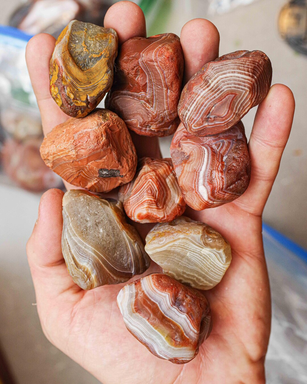 Lake Superior Agates Individual A Quality Lake Superior Agates Gem ...