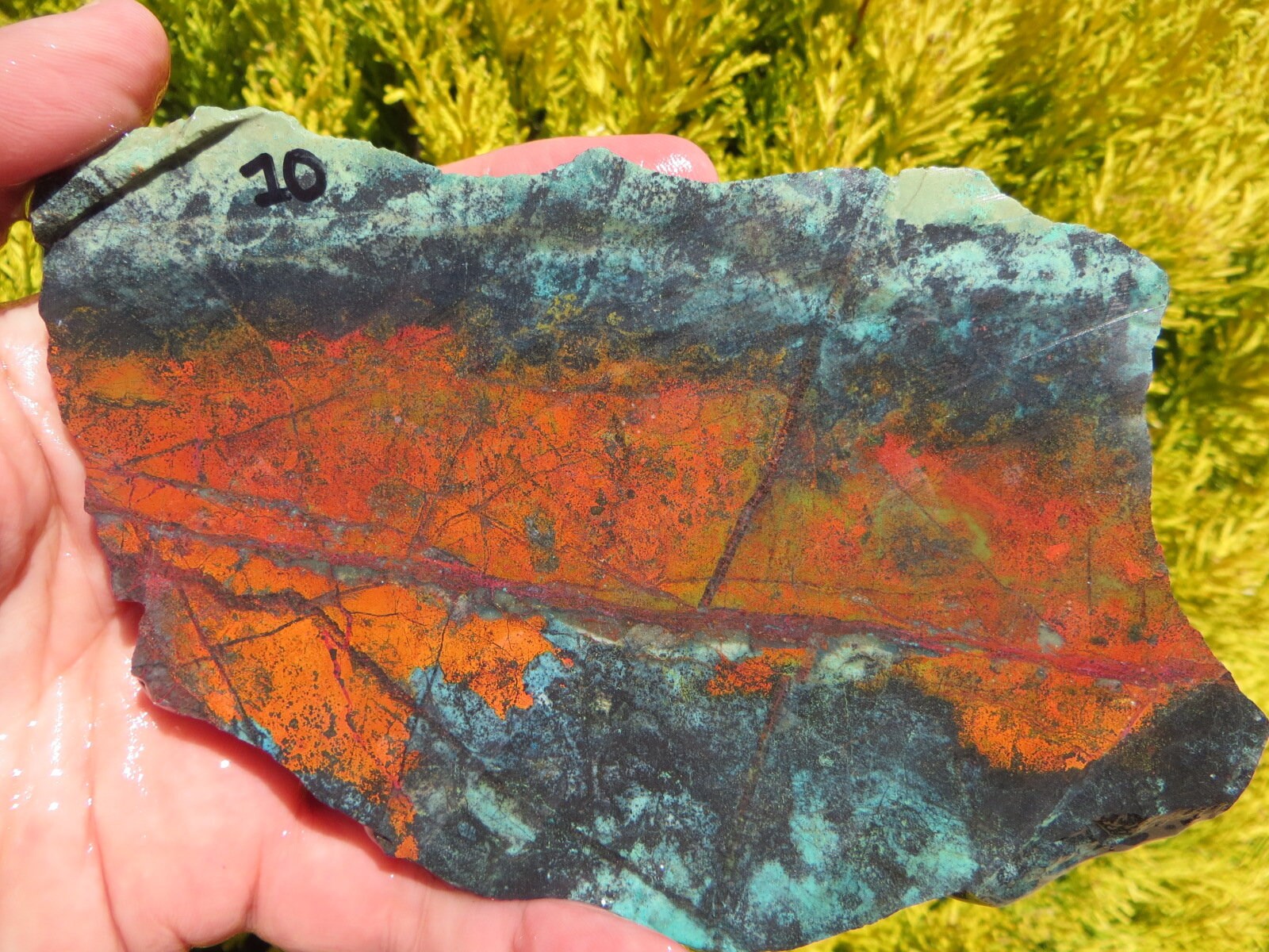 Sonora Sunrise Slab, Sonora Sunset, Cuprite With Chrysocolla and ...