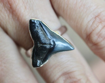 Shark tooth ring | Etsy