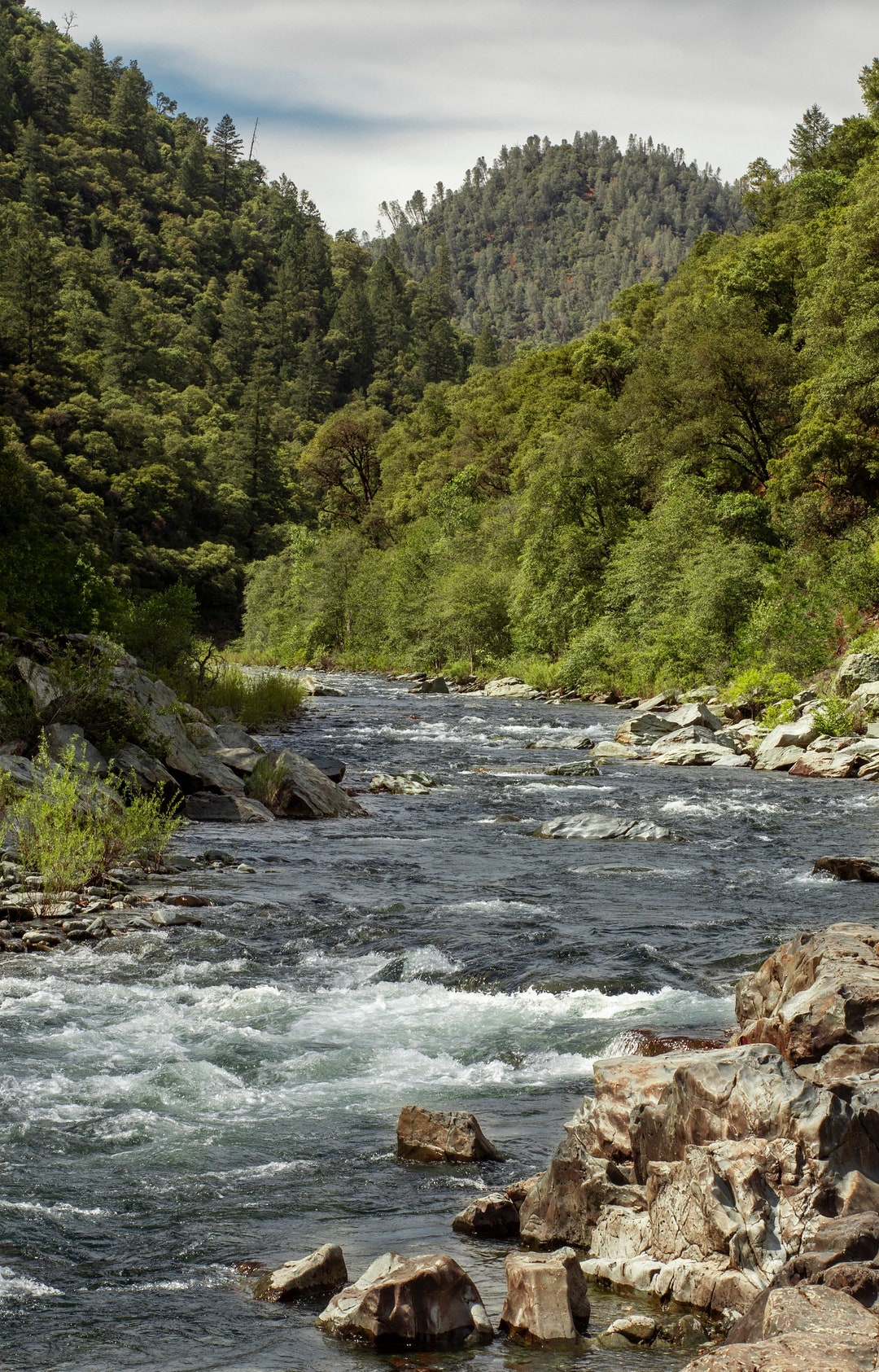 Digital Download, American River, Northern California, Forest, Instant ...