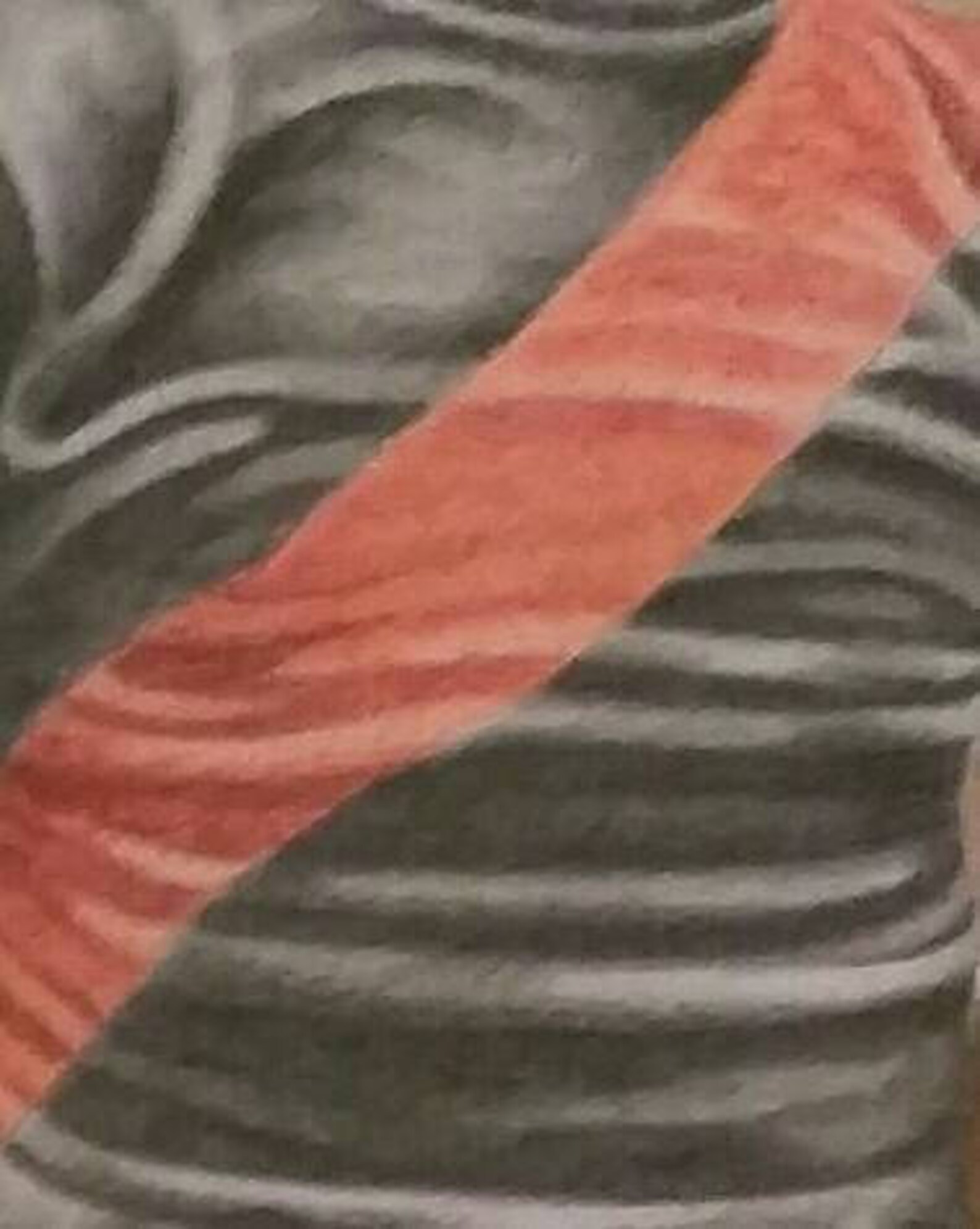 Essendon Football Club Art. Original artwork sold limited | Etsy