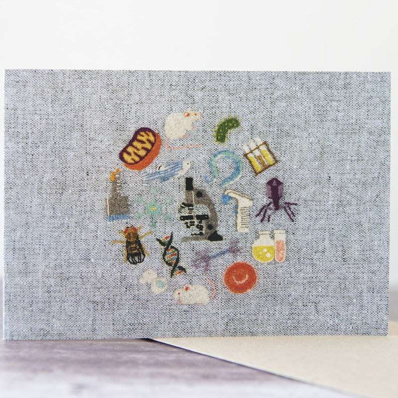 Phd Graduation Card - Etsy