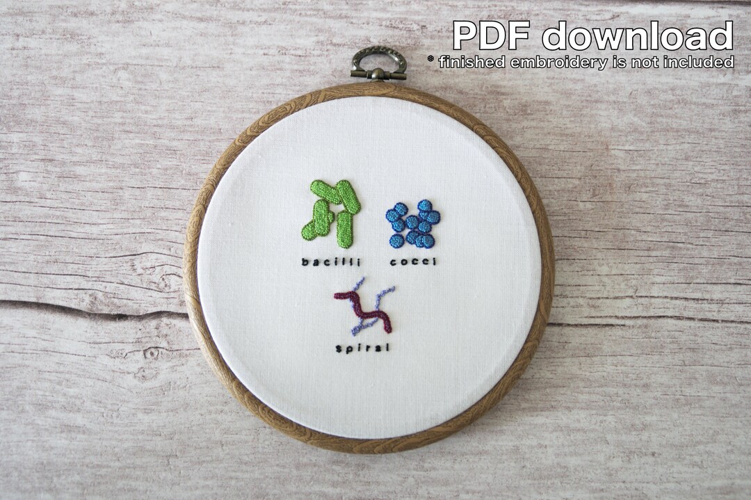 Bacteria Shapes Scientific Hand Embroidery Pattern - PDF Instant ...