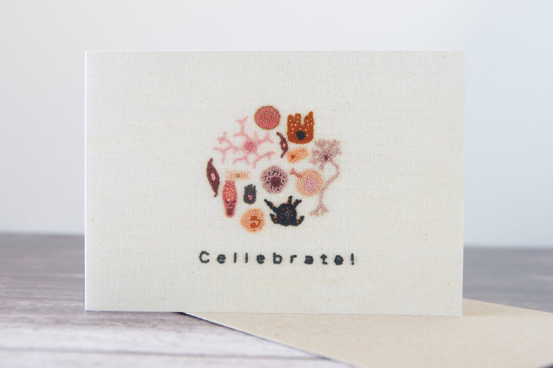 Cellebrate Science Congratulations Greeting Cards - Single - Etsy UK