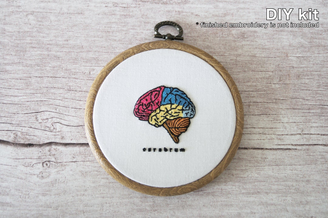 Brain Anatomy DIY Scientific Hand Embroidery Kit - Intermediate Level ...