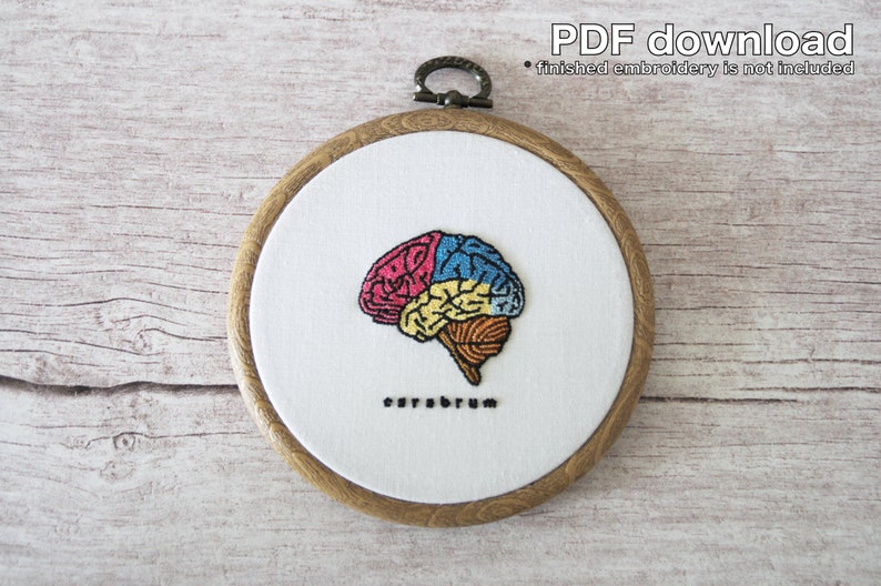 Brain Scientific Hand Embroidery Pattern - PDF Instant Download ...