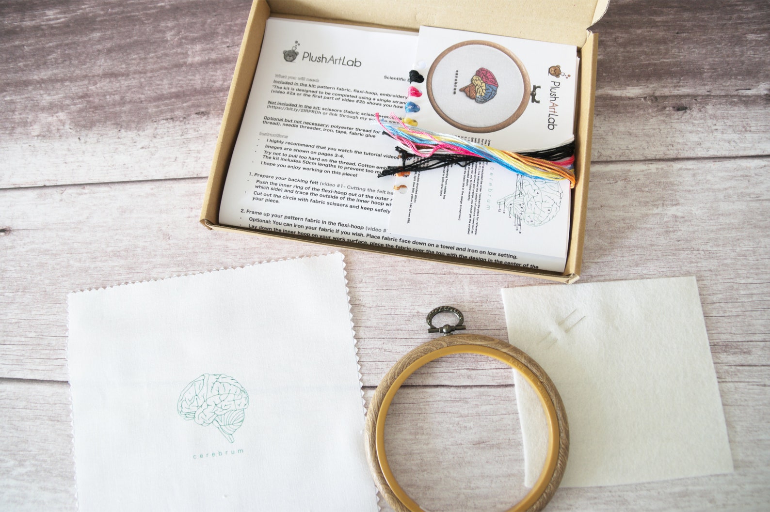 Brain Anatomy DIY Scientific Hand Embroidery Kit - Intermediate Level ...