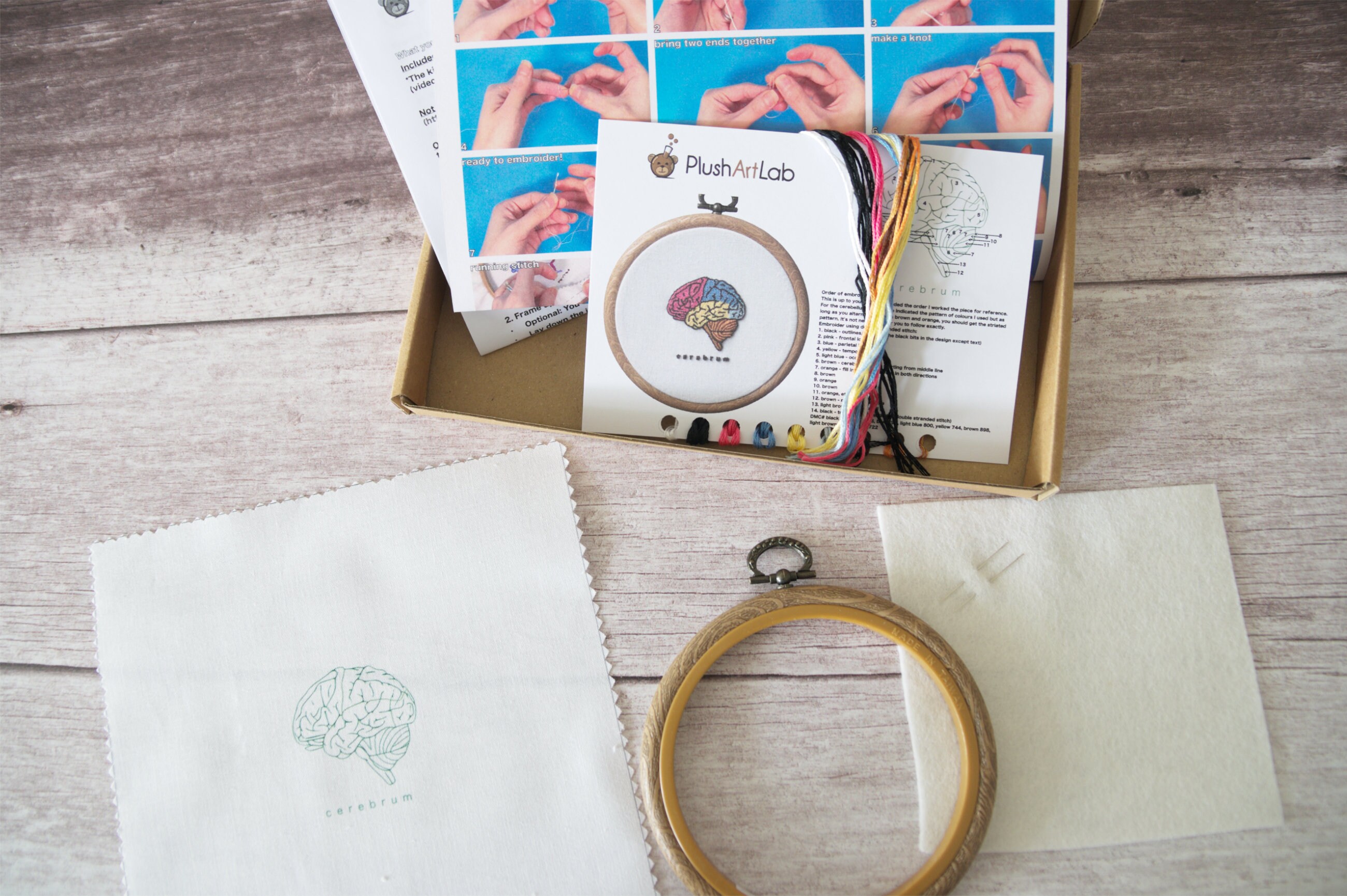 Brain Anatomy DIY Scientific Hand Embroidery Kit - Intermediate Level ...